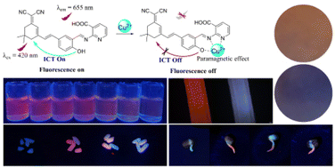 A near-infrared fluorescent probe for detecting Cu2+ and its versatile ...