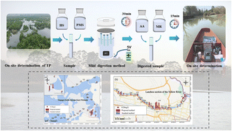 On-site determination of total phosphorus in natural waters using a ...