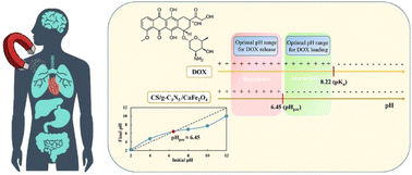 Synthesis of a chitosan/g-C3N5/ferrite carrier and evaluation of its ...