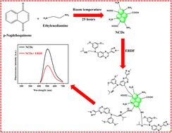 Selective detection of tyrosine kinase inhibitor erdafitinib using ...