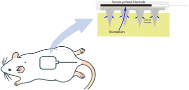 Porous microneedle-based electrochemical sensor for potassium and ...