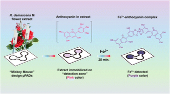 A prospective method for non-invasive diagnosis of iron deficiency ...