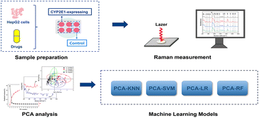 Application of Raman spectroscopy and machine learning for ...