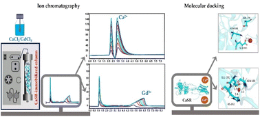 An easy and sensitive approach to measure the binding parameters of ...