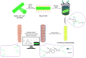 Fluorescence sensor based on molecularly imprinted polymers and ...