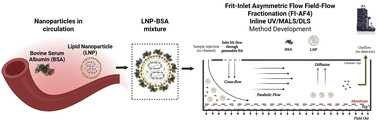 Multi-detector frit-inlet asymmetric flow field-flow fractionation ...