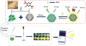 Biomass carbon quantum dots and Zr-MOFs as ratiometric fluorescent ...