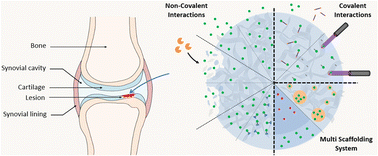 Control and interplay of scaffold–biomolecule interactions applied to ...