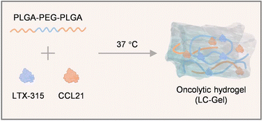 An injectable oncolytic hydrogel platform for in situ dendritic cell ...