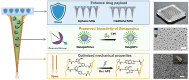 A core–shell structured biphasic microneedle system as an elite squad ...