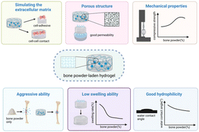 Bone powder-laden hydrogel scaffolds in bone tissue engineering ...