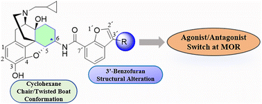 Exploring substitution effects on the potential dominant conformations ...