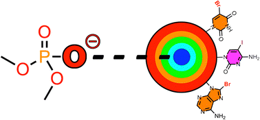Halogenation of nucleic acid structures: from chemical biology to ...
