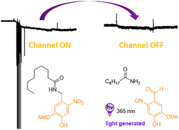 Photoactivatable and photolabile pharmacophores: lessons learned from ...