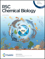 Front cover - RSC Chemical Biology (RSC Publishing)