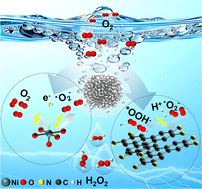 Low-temperature construction of high-density Ni single-atom sites on ...