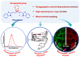 Construction of polymethine chain-modified pentamethylene cyanine dyes ...