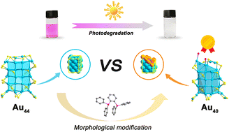 Diphosphine-induced morphological modification in Au nanoclusters and ...