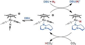 DBU as base and ligand in phosphine-free ruthenium complexes for ...