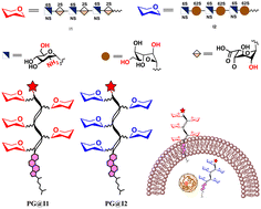 Comparative analysis of sulfated l-idose and l-iduronic acid in ...