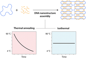 Isothermal assembly of DNA nanostructures - Chemical Communications ...