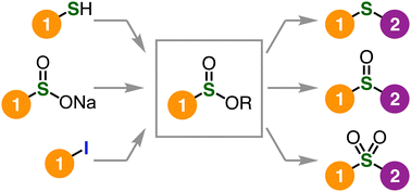 Recent advances in the synthesis and transformations of sulfinate ...