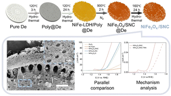 A bionic carbon framework activates the oxygen lattice sites of NiFe2O4 ...