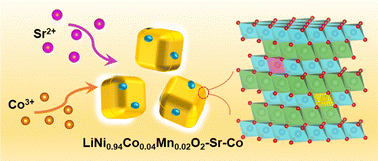 Sr and Co co-doping stabilizes ultrahigh-nickel single-crystal cathodes ...