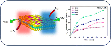 MoS2/CoS2 heterostructures as a thermoelectric-catalyst for H2O2 ...