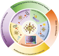 Ultrasmall coinage metal nanoclusters as promising antibacterial agents ...