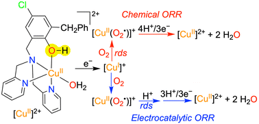 Comparing electrocatalytic and chemical oxygen reduction reaction by a ...