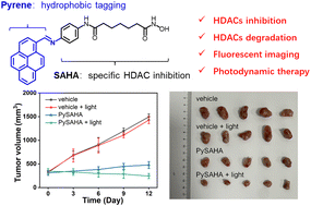 A pyrene-based HDAC inhibitor for dual-action therapy of breast cancer ...
