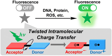 Recent advances in fluorogenic probes based on twisted intramolecular ...