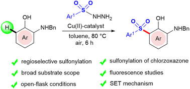 Substrate-controlled regioselective C(sp2)–H sulfonylation of ortho ...
