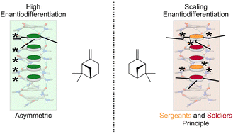Spin me right round – a versatile BTA-based alignment media toolbox for ...