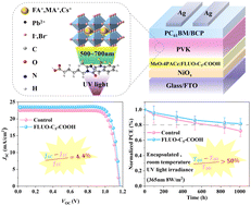 Fluorescent hole-selective contact for ultraviolet-stable inverted perovskite solar cells ...