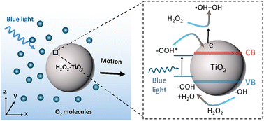 H2O2-sensitized single-component TiO2 micromotors: blue-light-driven ...
