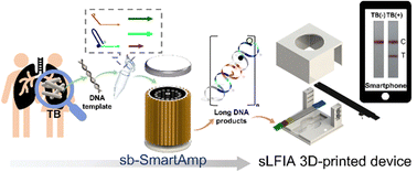Smartphone-assisted tuberculosis detection by a smart amplification process and lateral flow ...
