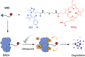 An ultrasonically sensitive small-molecule chimera for sono ...