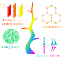 Turing-structured catalysts for electrochemical catalytic reactions ...