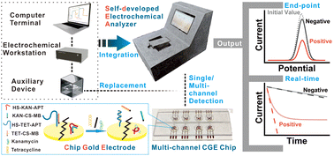 Rapid detection of antibiotics using self-developed electrochemical ...