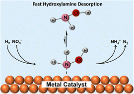 Hydroxylamine: an overseen intermediate that brings into question ...