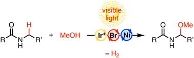 Photocatalytic Shono-type oxidation of N-alkylamides with hydrogen ...