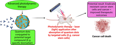 The role of quantum dots in enhancing the therapeutic targeting of ...