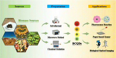 Biomass-derived carbon quantum dots as fluorescent probes for ...