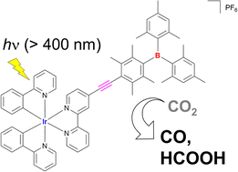 Covalently linked triarylborane–iridium(iii) complex as a photocatalyst ...