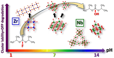 Delineating roles of NbV and ZrIV oxoclusters in aqueous phase ...