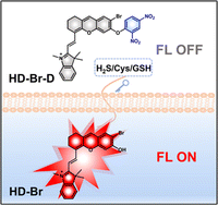 A mitochondria-targeted near-infrared fluorescent probe for detecting ...