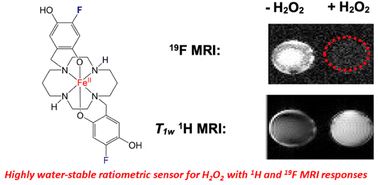An Fe(ii) complex detects hydrogen peroxide with 1H and 19F magnetic ...