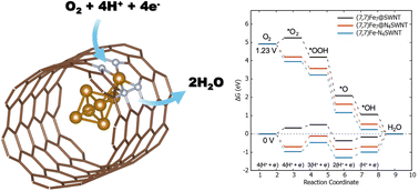 Iron cluster encapsulated N-doped single-walled carbon nanotubes as ORR ...